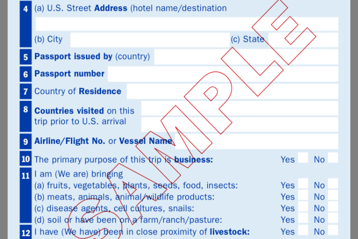 US Customs and Border Protection Archives - Pizza In Motion